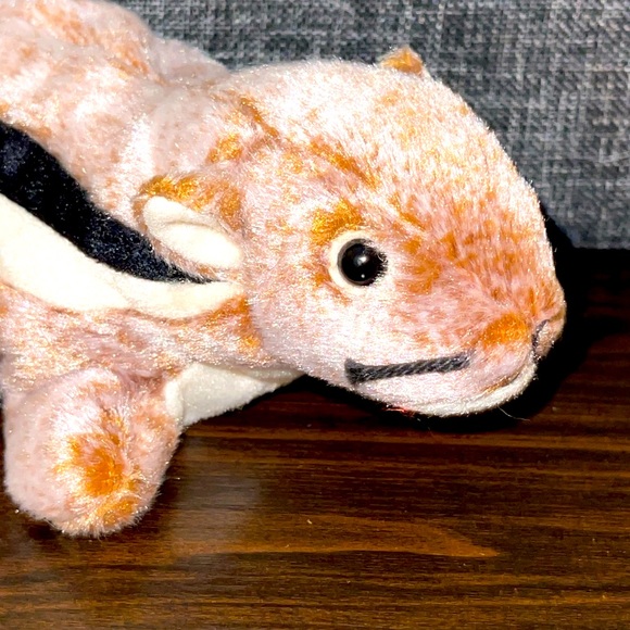 Ty | Toys | New Ty Beanie Baby Chipper The Chipmunk | Poshmark